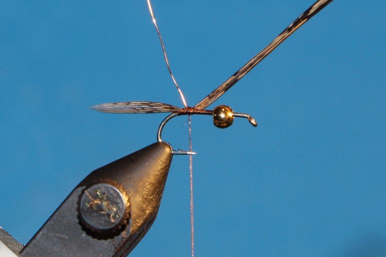 Pheasant Tail Nymph Pattern: Video and Instructions