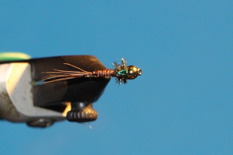 Pheasant Tail Nymph Pattern: Video and Instructions