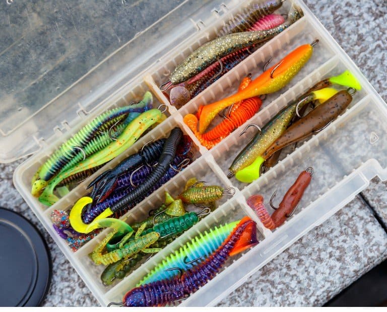 The Best Worms for Bass: 7 Top Soft Plastic Baits Reviewed