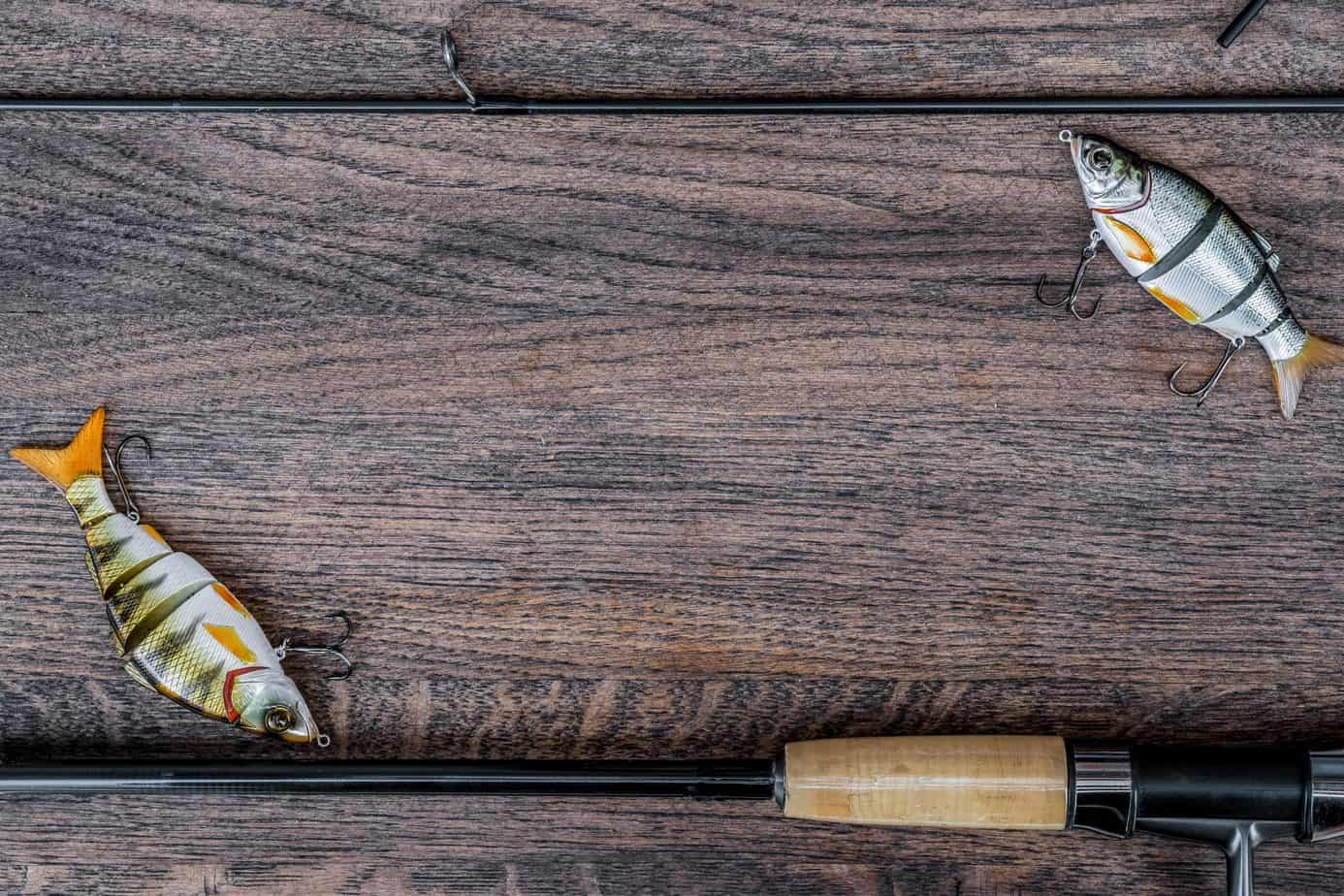 Best Swimbaits for Bass: Our 5 Top Picks of 2024