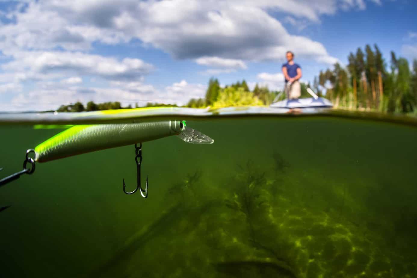 The 5 Best Topwater Lures for Bass: A Pro Guide's Top Picks