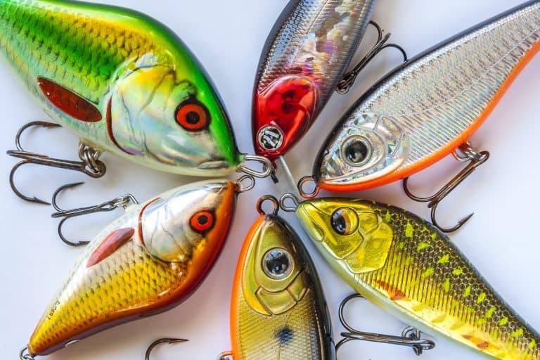 How to Fish Crankbaits: Expert Tips and Tactics