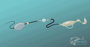 Sliding Sinker Rigs: How to Tie & Fish The Carolina Rig