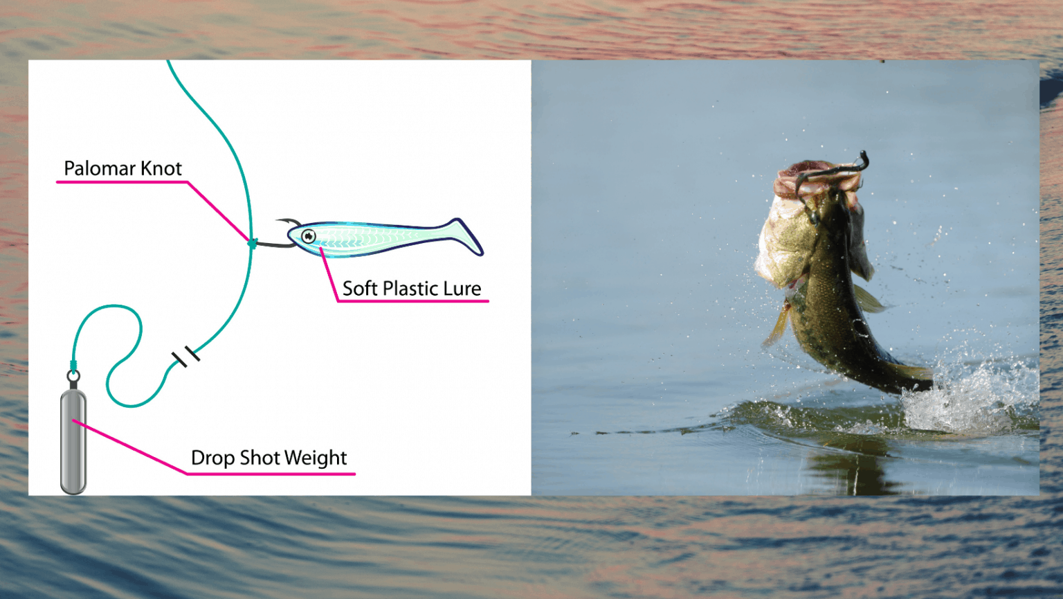 Best Drop Shot Hooks: Pro Guide to the Leading Brands