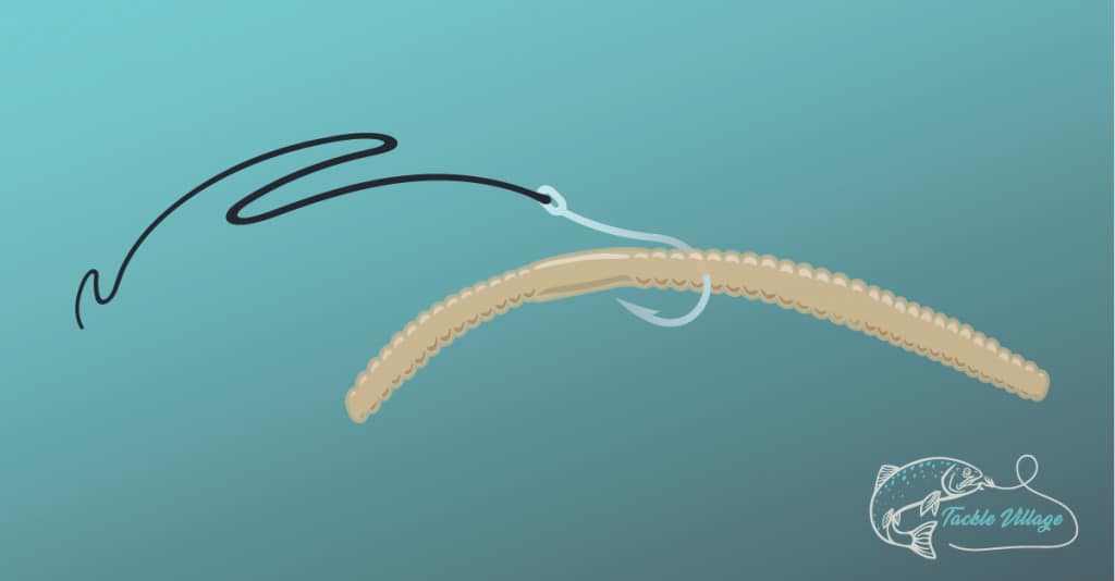 The Wacky Rig for Bass Worms: Full Set-up Guide