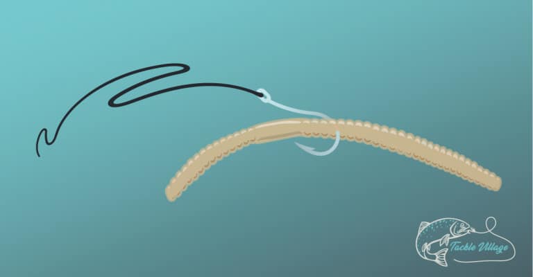 The Wacky Rig for Bass Worms: Full Set-up Guide