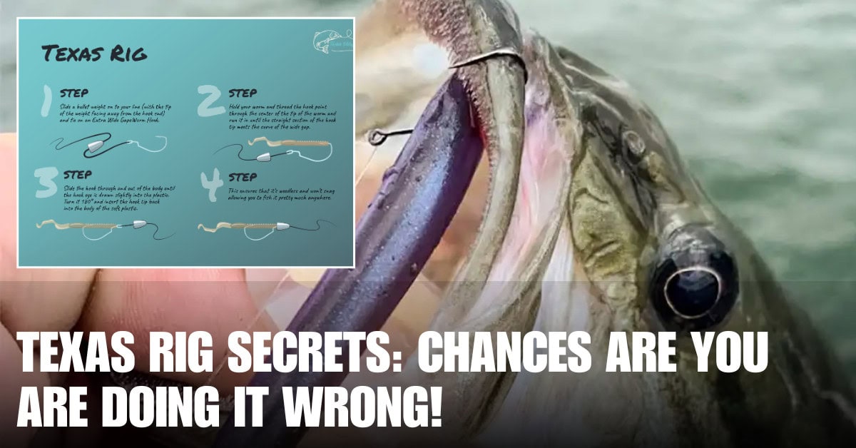 How to Texas Rig a Worm: A Weedless Bass Bait that Works