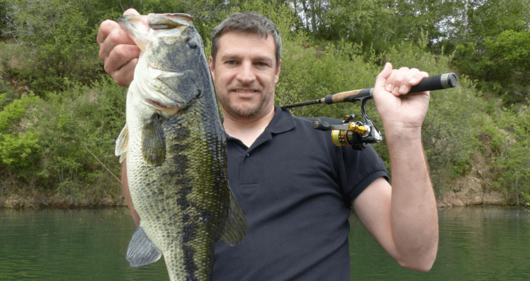 Best Spinning Rod for Bass: Our Top 9 Choices in 2025