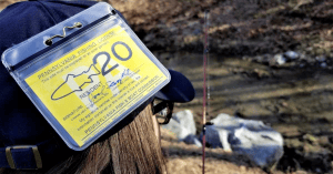How to Get a Walmart Fishing License: What It Costs & Where to Go