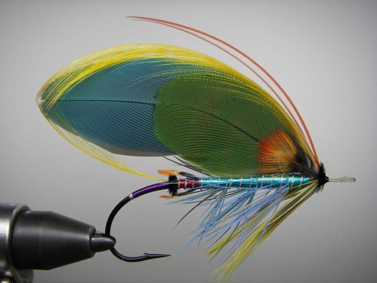 Japan Fly Fishing: AWESOME Trout, Salmon and Char to Catch