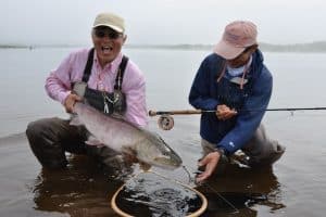 Japan Fly Fishing: AWESOME Trout, Salmon and Char to Catch