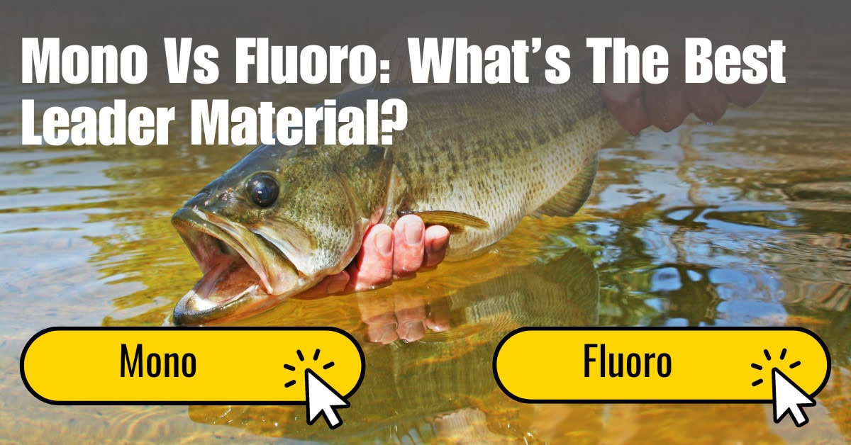 Fluorocarbon Vs Mono: Choosing the Best Line Type