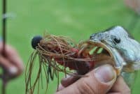 What is Jigging? A Beginner's Guide