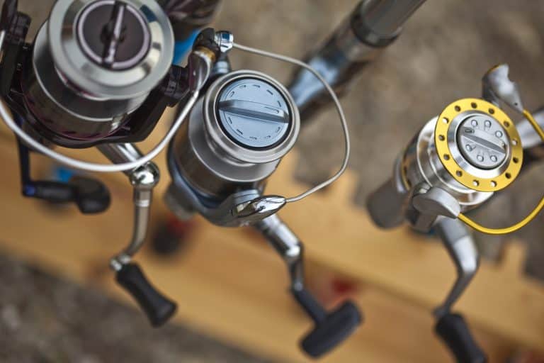 Best Ultralight Spinning Combo: 10 Top Rod and Reel Choices (2025)
