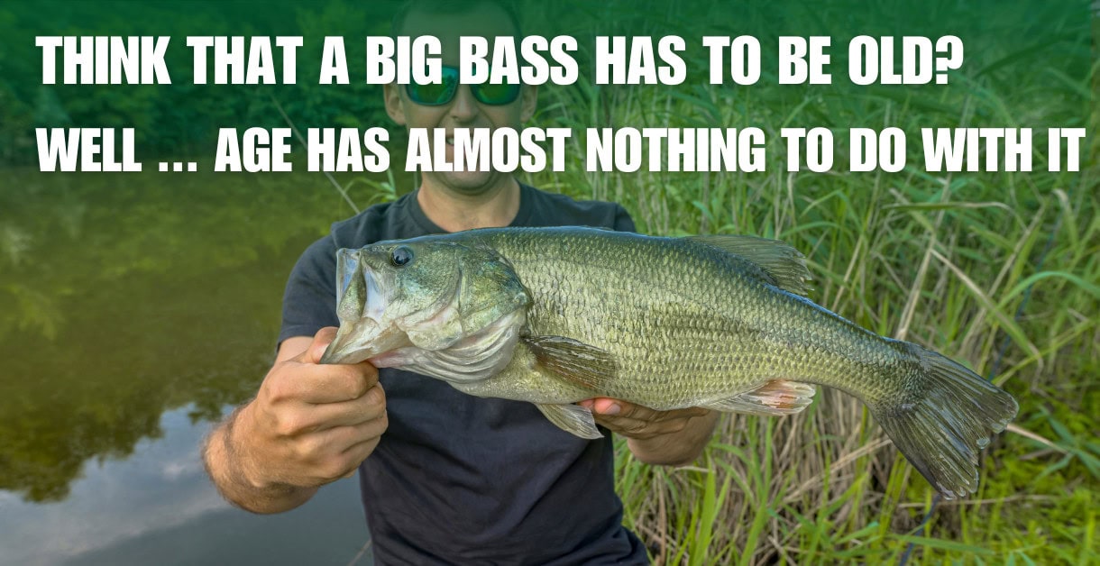 How Long Do Bass Live? And More Amazing Bass Facts