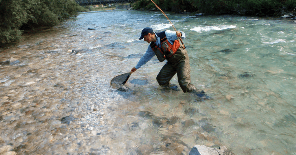 Fly Fishing Rivers: Freestone vs Tailwater vs Spring Creek