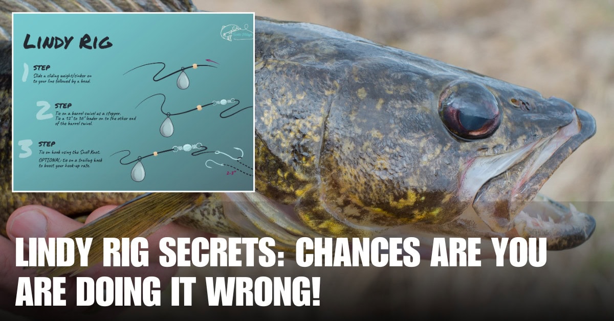 Lindy Rig Set Up: Full Guide to Using This Great Walleye Rig