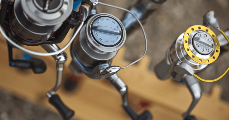 Spinning Reel Sizes (Plus Charts): Choosing the Right Outfit