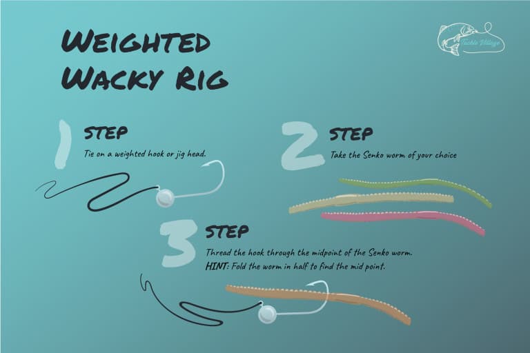The Wacky Rig for Bass Worms: Full Set-up Guide