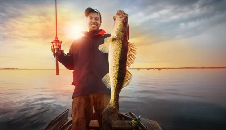 Lindy Rig Set Up: Full Guide to Using This Great Walleye Rig