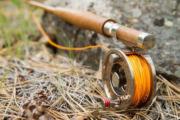 Fishing Reel Types Explained: How to Choose the Right Reel