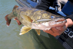 The Best Walleye Lures: Top 8 Baits of 2025 Ranked and Reviewed