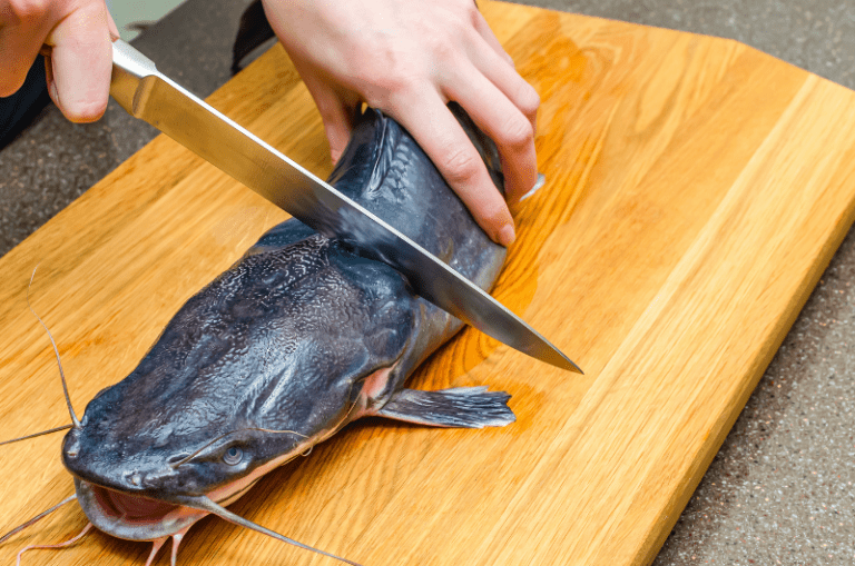 Can You Eat Catfish? Is It Safe and Tasty?