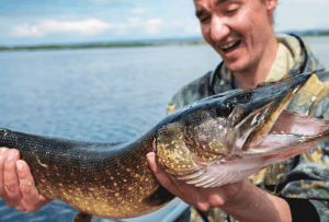 Northern Pike Teeth: Facts and Pictures Plus How to Handle