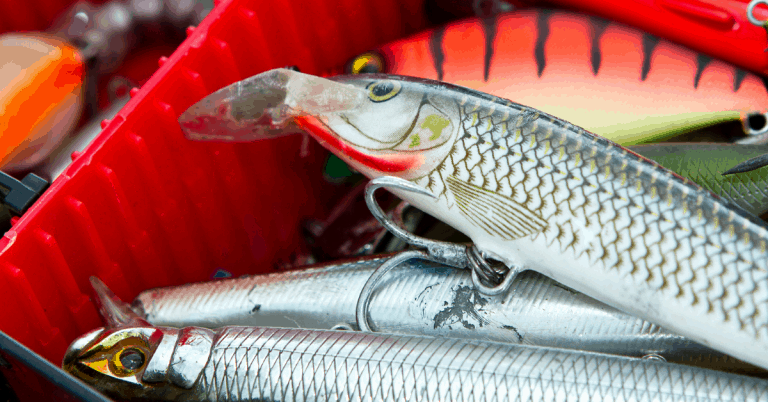 Fishing Lure Color Selection Chart