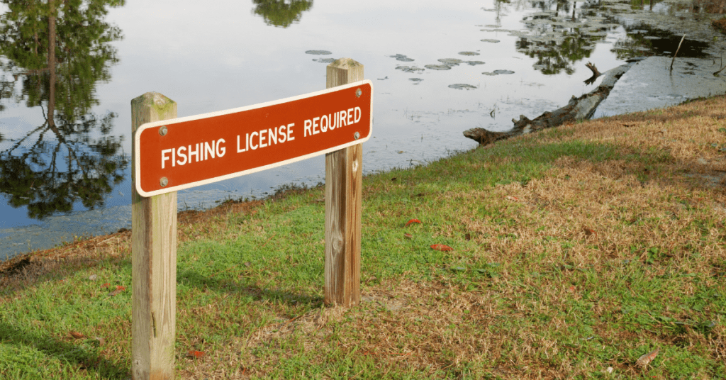 Fishing Licensing and Regulations: All the Key Info – Tackle Village