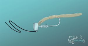 The Shaky Head Rig: How to Fool Big Bass With Finesse Worms