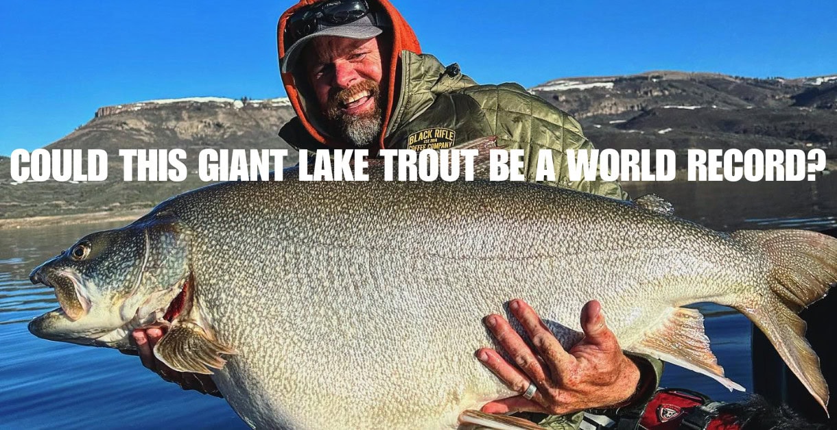 World Record Lake Trout: The Biggest Ever Caught [2026]