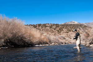 How to Nymph Fish: A Complete Beginner's Guide