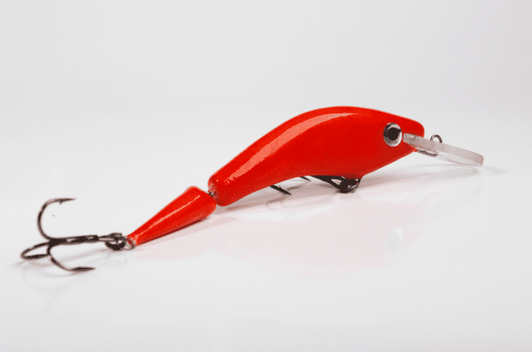 Segmented Fishing Lures: Top Picks and Tips