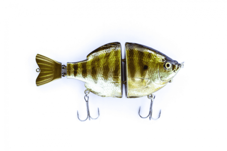 Segmented Fishing Lures: Top Picks and Tips