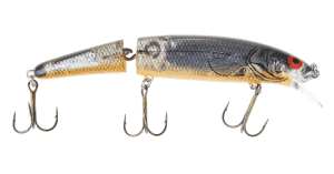 Segmented Fishing Lures: Top Picks and Tips