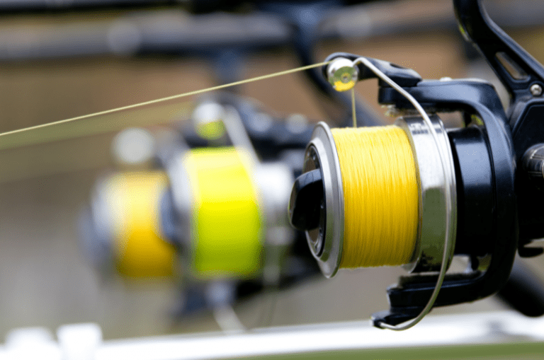 How Much Line to Put on a Spinning Reel: Expert Guide