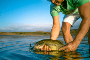 Fishing In Hot Weather: Bass Fishing Tips