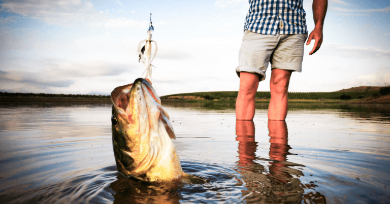 Bottom Feeders List (+pictures): Salt and Freshwater Fish