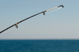 Fishing Rod Action Chart: Fast, Moderate & Slow Rods