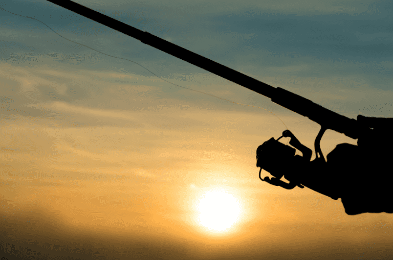 Fishing Rod Power: Light, Medium and Heavy