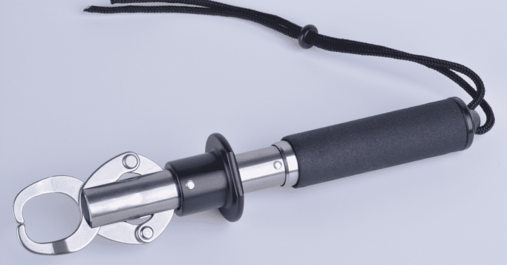 Best Fish Scales: Our Top 13 Picks for Weighing Your Catch