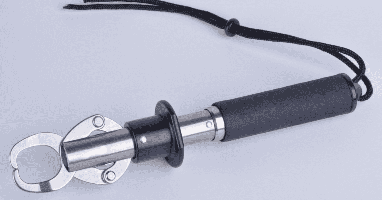 Best Fish Scales: Our Top 13 Picks for Weighing Your Catch