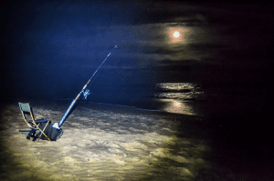 Night Fishing: Tips For Success After Dark