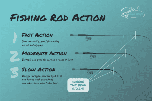 Fishing Rod Power: Light, Medium and Heavy