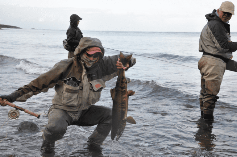 Japanese Trout: A Guide to the Key Types