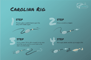 The Best Perch Rigs: 7 Great Set-Ups to Boost Your Catch