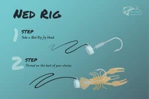 The Best Perch Rigs: 7 Great Set-Ups to Boost Your Catch