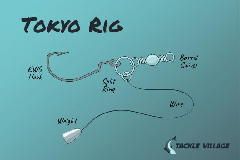 How to Rig a Worm for Bass: Popular Set-Ups Explained
