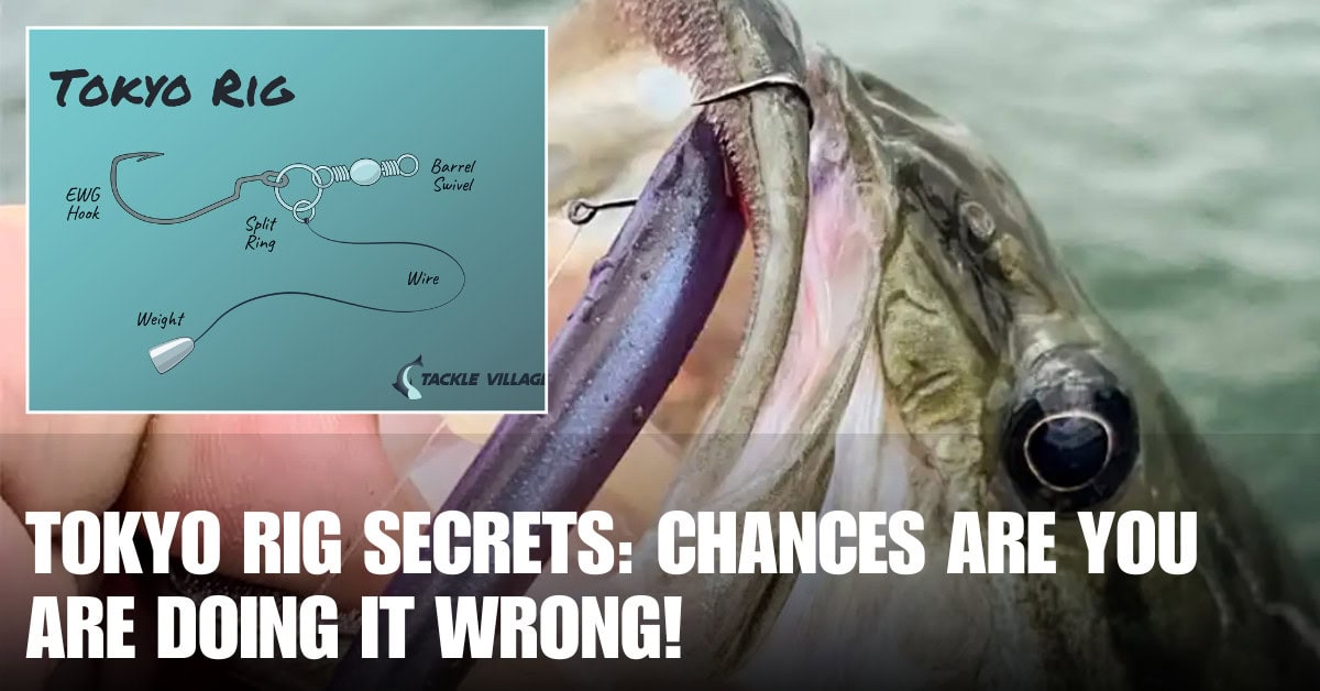 Tokyo Rig Setup: How To Build And Fish It